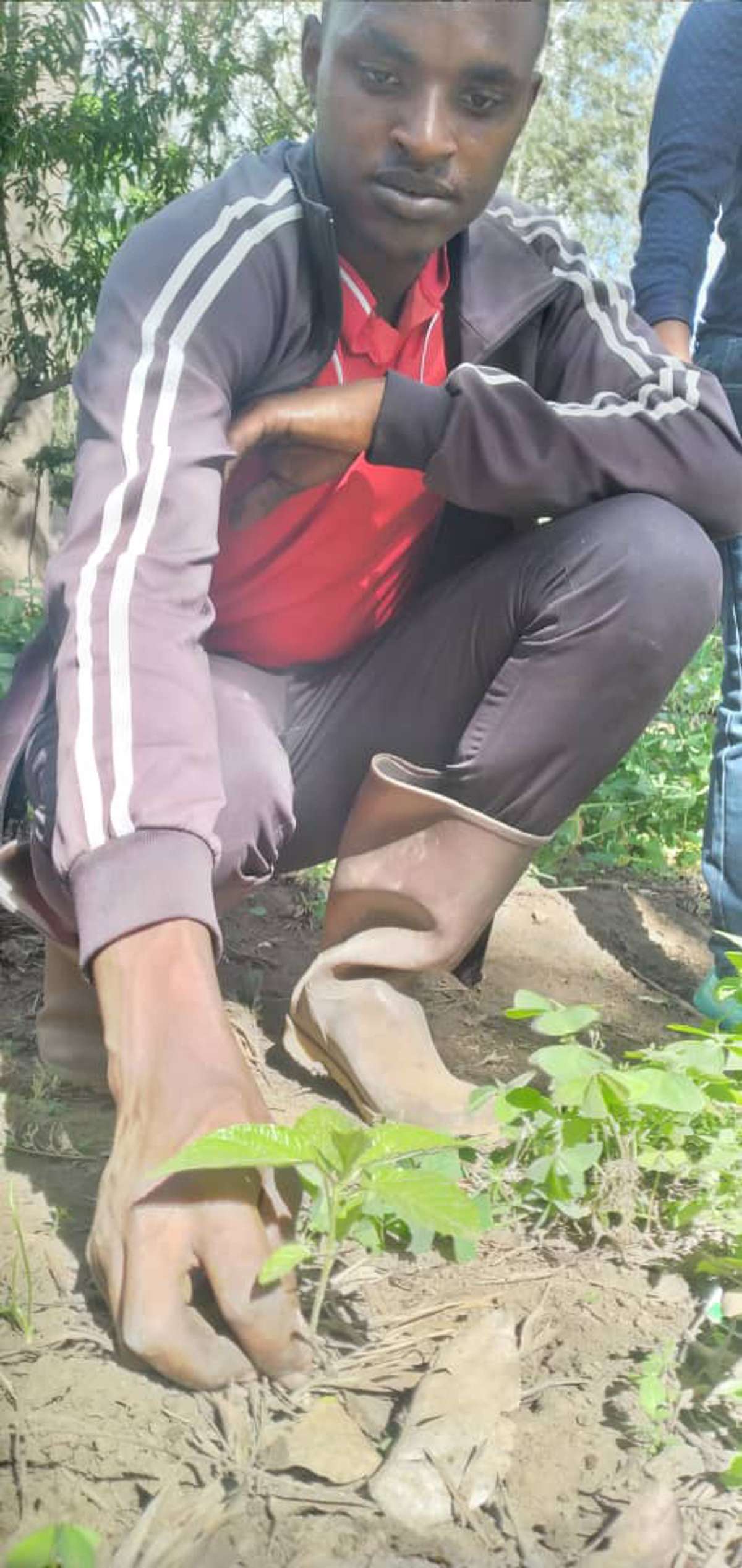 EAN9 Figure 3 | ECHOcommunity.org